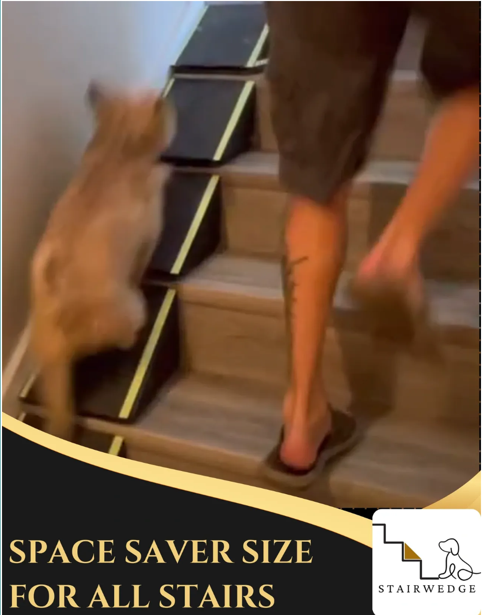 StairWedge Unleashes The Latest Design To Aid Pets With Challenges ...