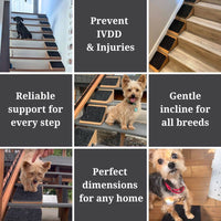 Stairwedge - Dog Ramp for Small Dogs - Versatile Stair Ramp for Any St