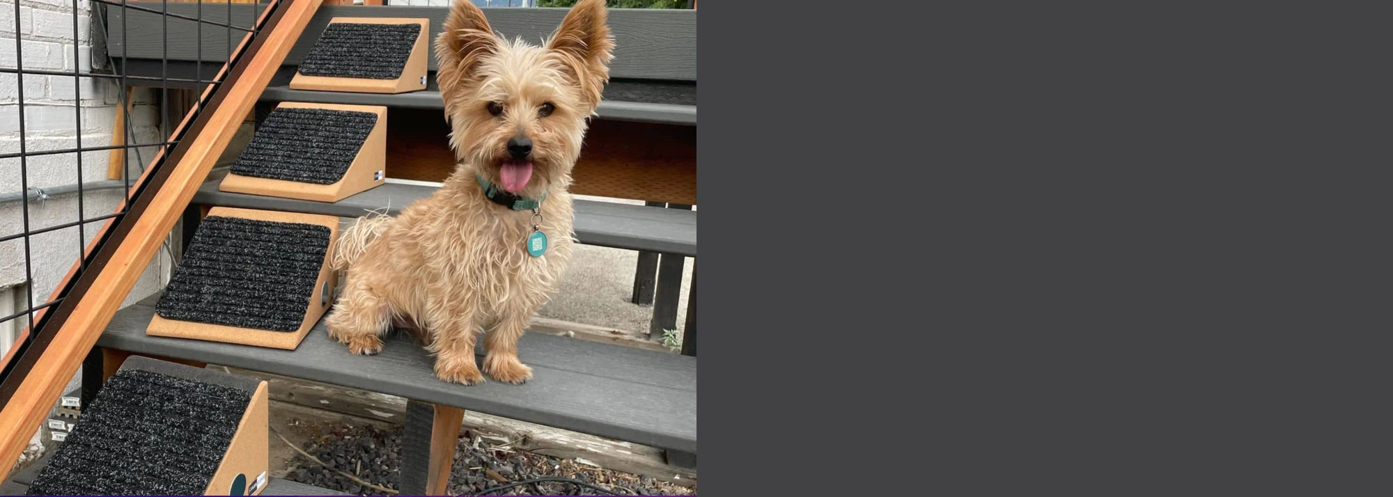 Stairwedge - Dog Stair Ramp for Any Staircase