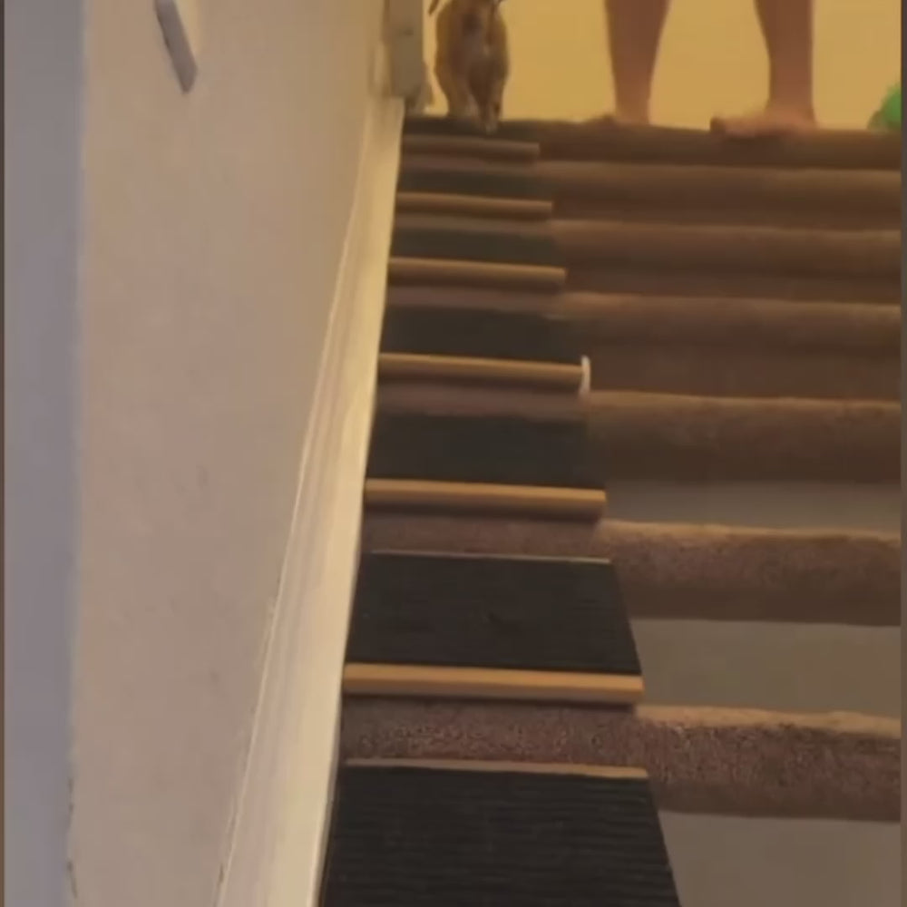 Stairwedge - Dog Ramp for Small Dogs - Versatile Stair Ramp for Any St